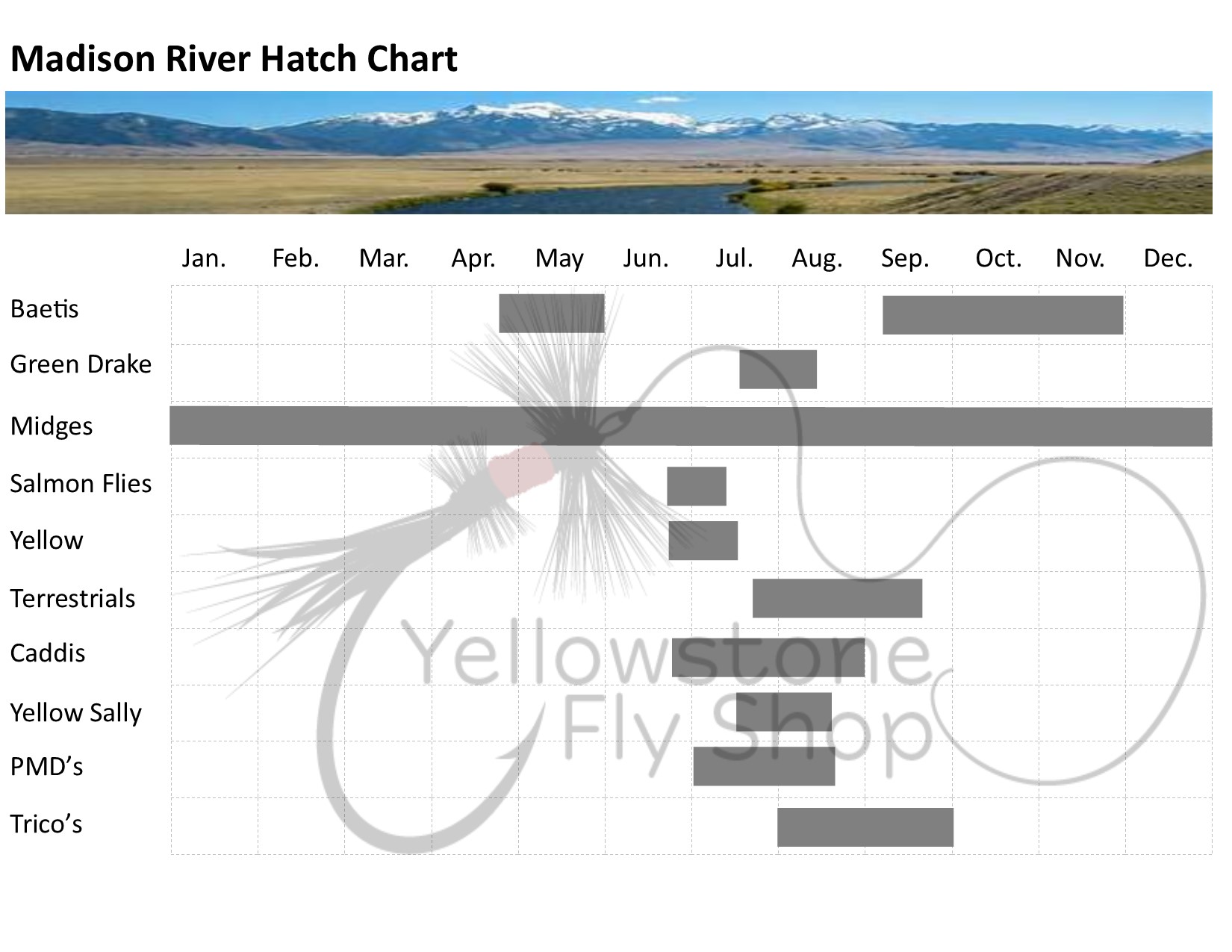 The Madison - Fly Fishing | Flies | Trout | Montana | Idaho